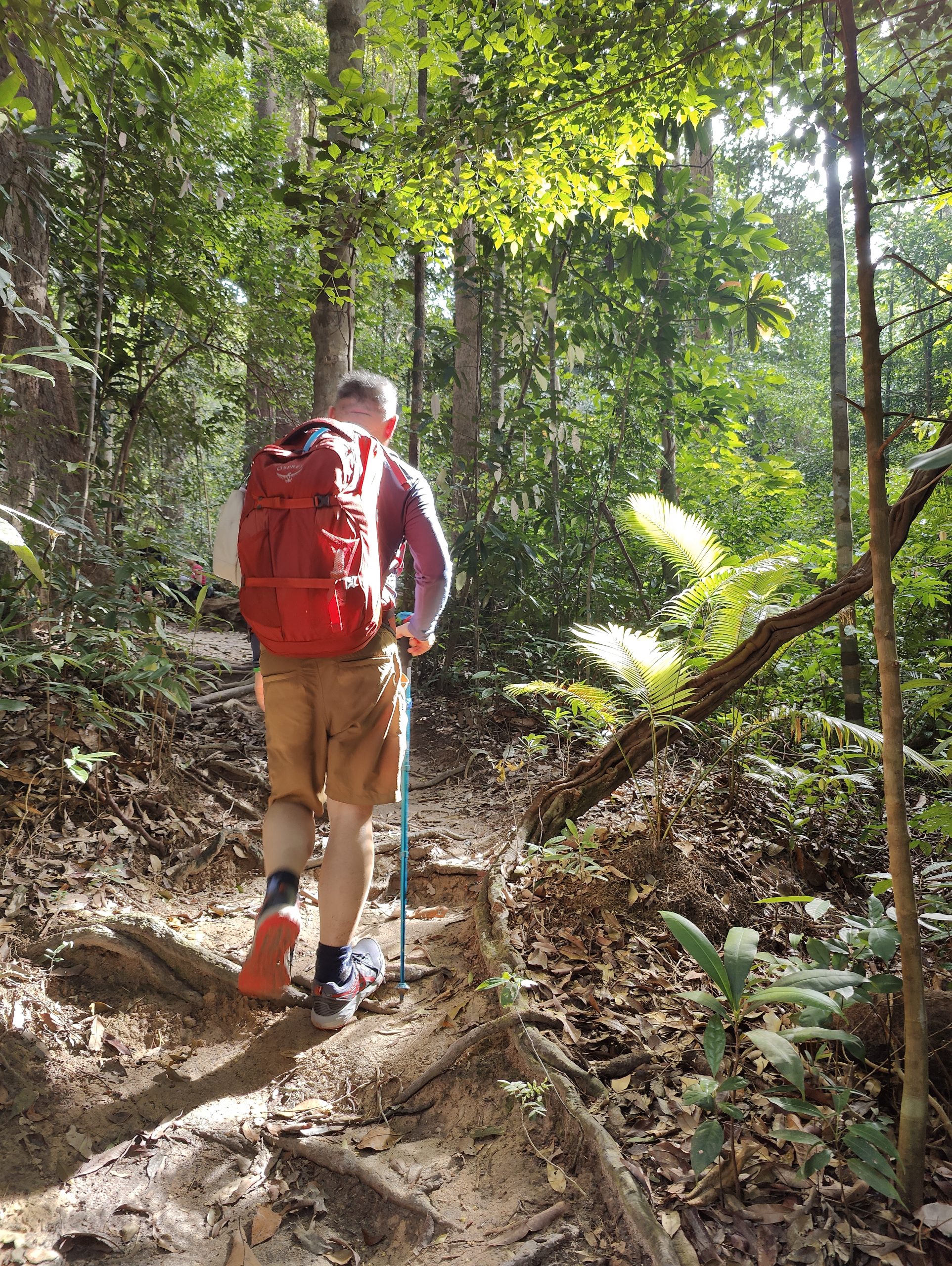 Mt Ophir Trek (Aug) – Ace Adventure Expeditions